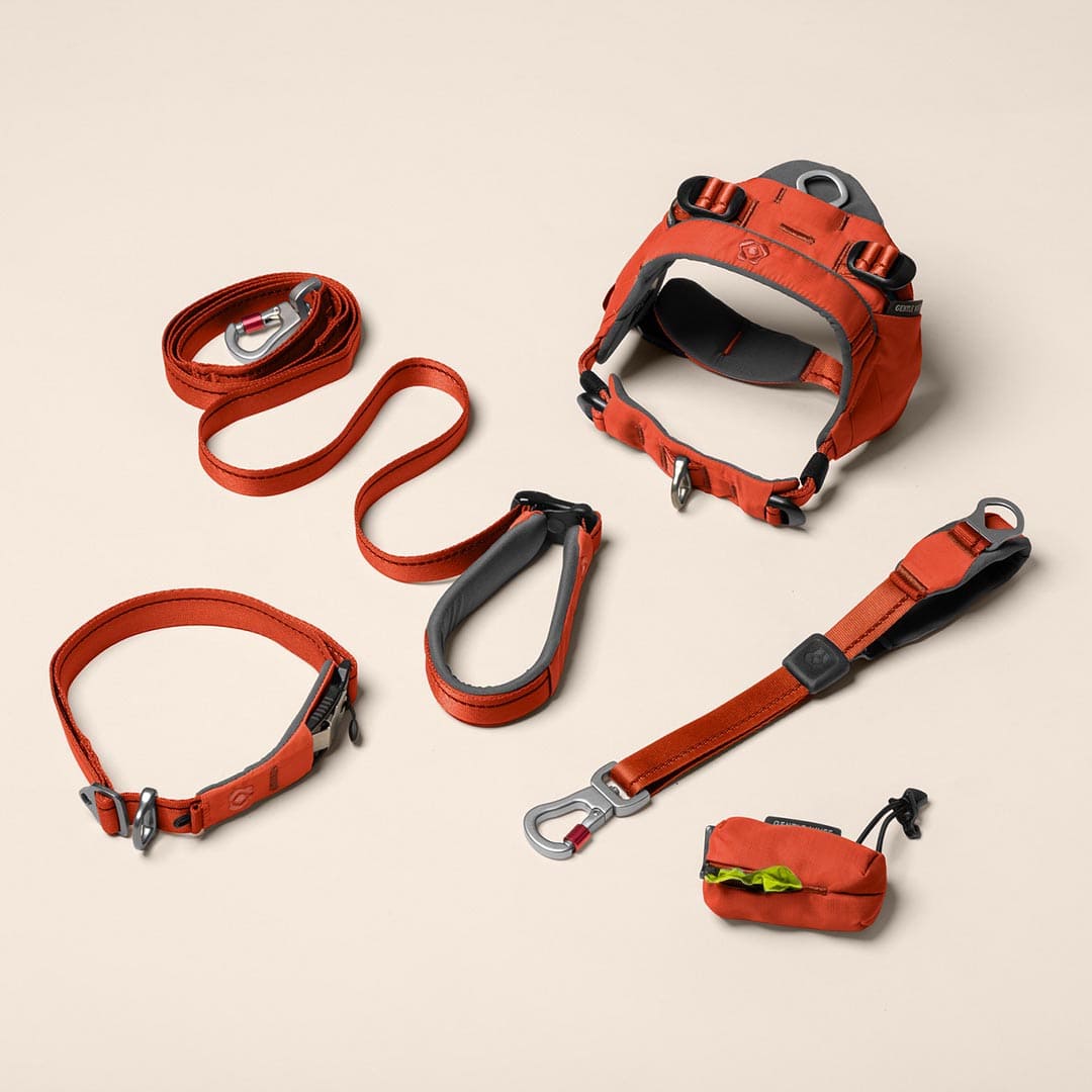 Pack Life Bundle - Canyon | Everywhere Dog Gear | Gentle Wuff