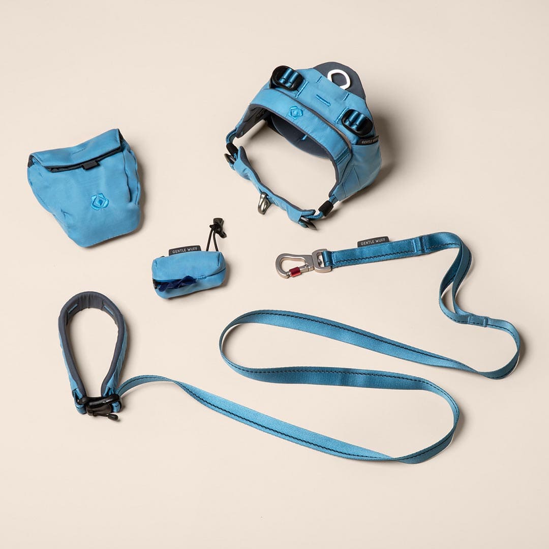 Trail Explorer Dog Gear Bundle - Coast | Gentle Wuff